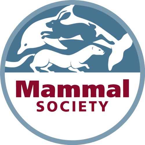 Blog: Hear from our partners about 'Walking With Water' - CCW